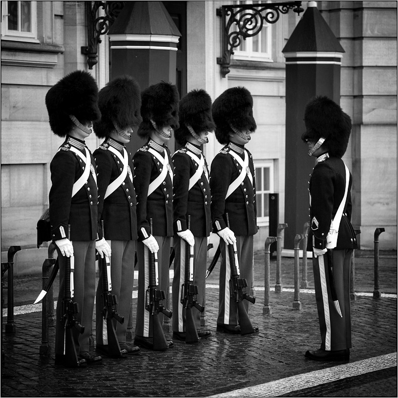 Фотографія Serious Talking / Лариса Гурьева / photographers.ua