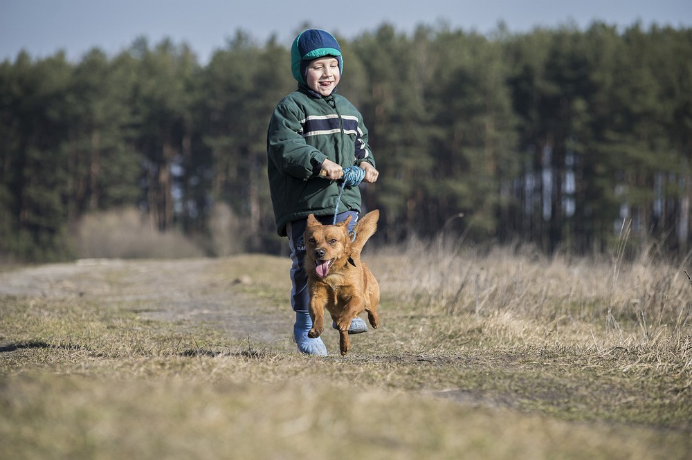 Фотографія Прогулка в лесу / Roman Romanenko / photographers.ua