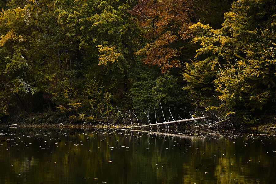 Фотографія Пейзаж / Sergey Moroz / photographers.ua