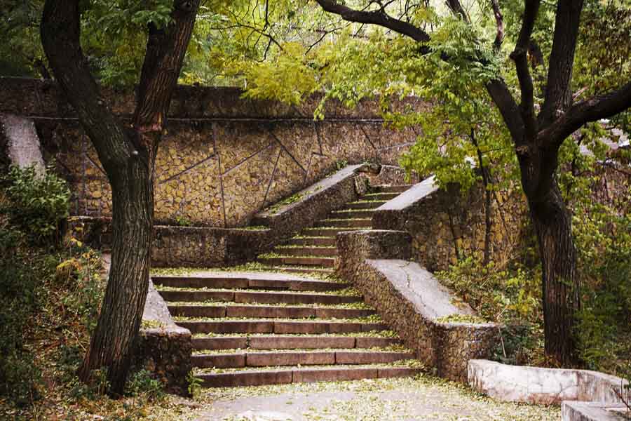 Фотографія *** / Sergey Moroz / photographers.ua