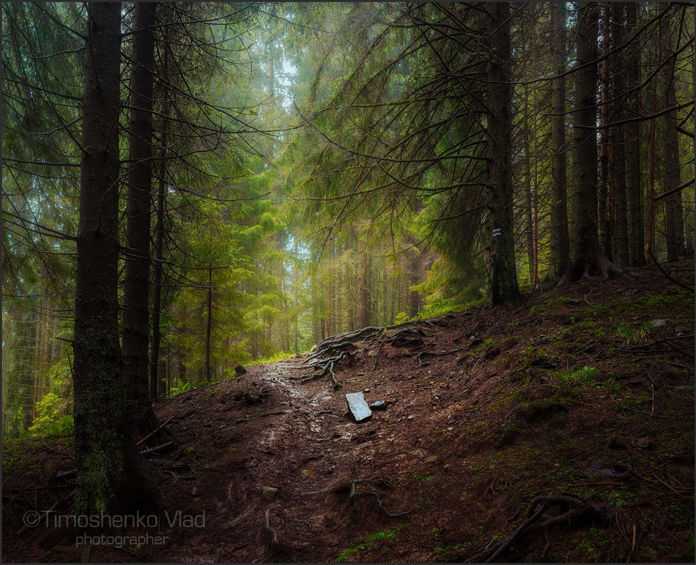 Фотографія Пейзаж / Vlad Timoshenko / photographers.ua